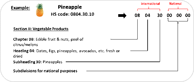 Fret France - Suisse | Tarifs, Délais, Dédouanement, Transport