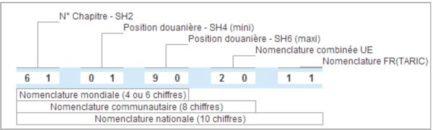 Logistique : NVOCC, VOCC, Transitaire, Armateur, Déclarant en douanes...