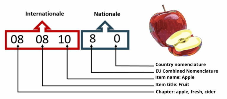 Comment trouver le HS code d'un produit ? - DocShipper